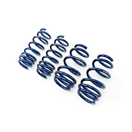 Unplugged Performance Dual Rate Linear Lowering Springs Tesla Model Y