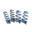Tesla Model Y Dual Rate Linear Lowering Spring Set